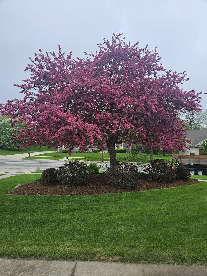 Krueger Landscape Services | Professional Landscaping West Bend Wi